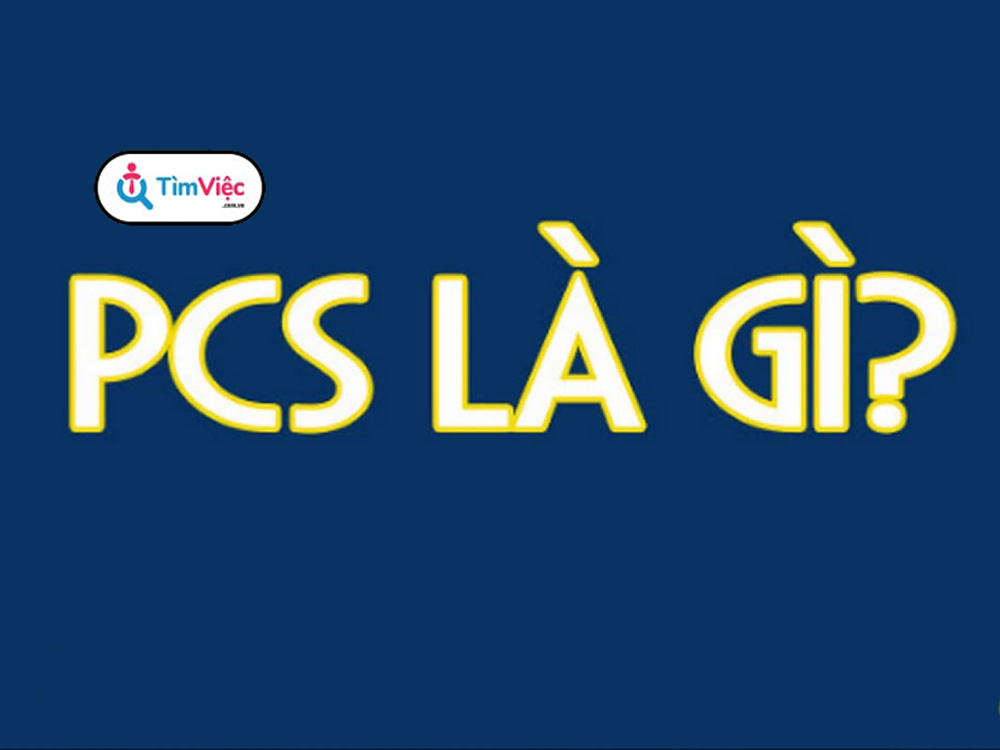 Giải thích qty pcs là gì trong quản lí kho